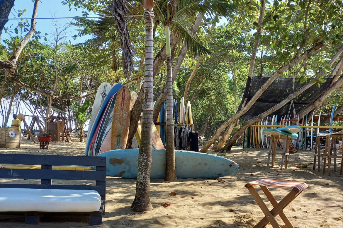 Surf the Dominican Republic as individual traveler- where, when, how